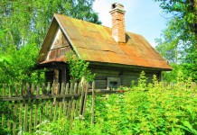 Ботаничка.ru. О мире растений и загородной жизни. Дача, сад и огород ...